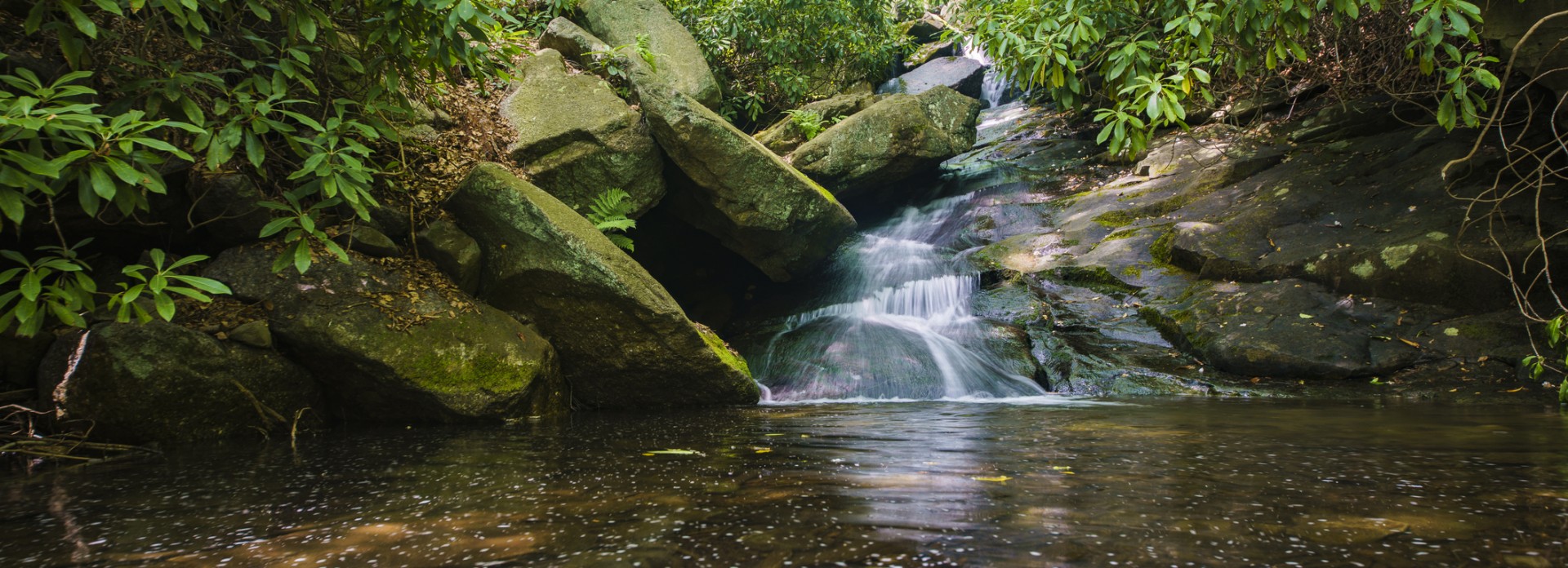 Supreme Court's Answer to Certified Questions Preserves Right to ...