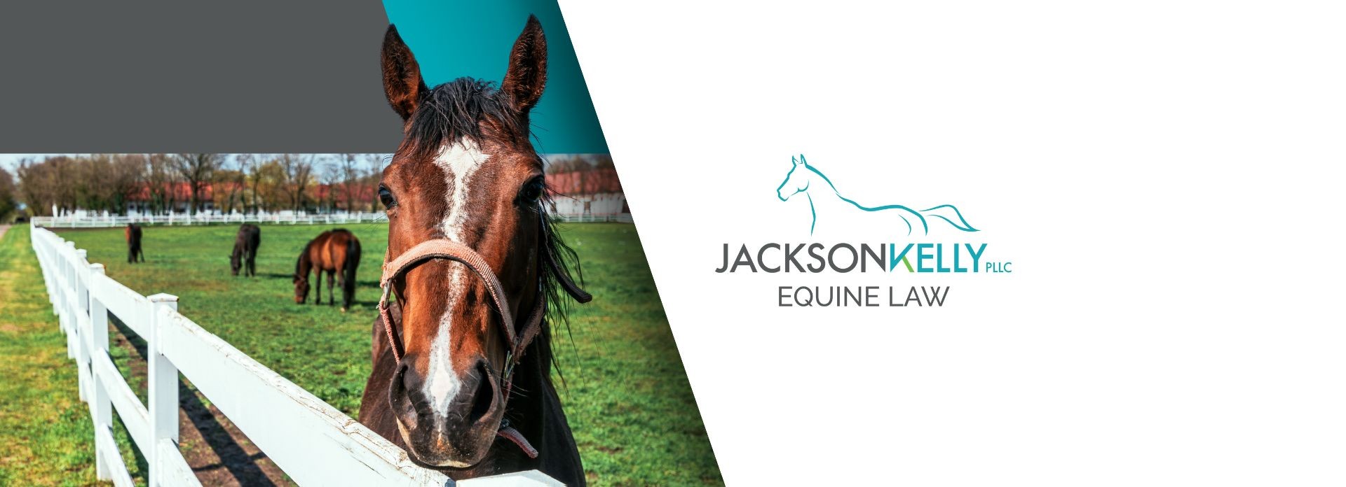 Jackson Kelly Equine Law Group Announces Horsemen's HIWU Toolkit ...